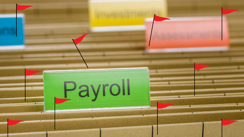 Major Red Flags & Signs to Switch your Payroll Vendor - Blog | Payroll ...