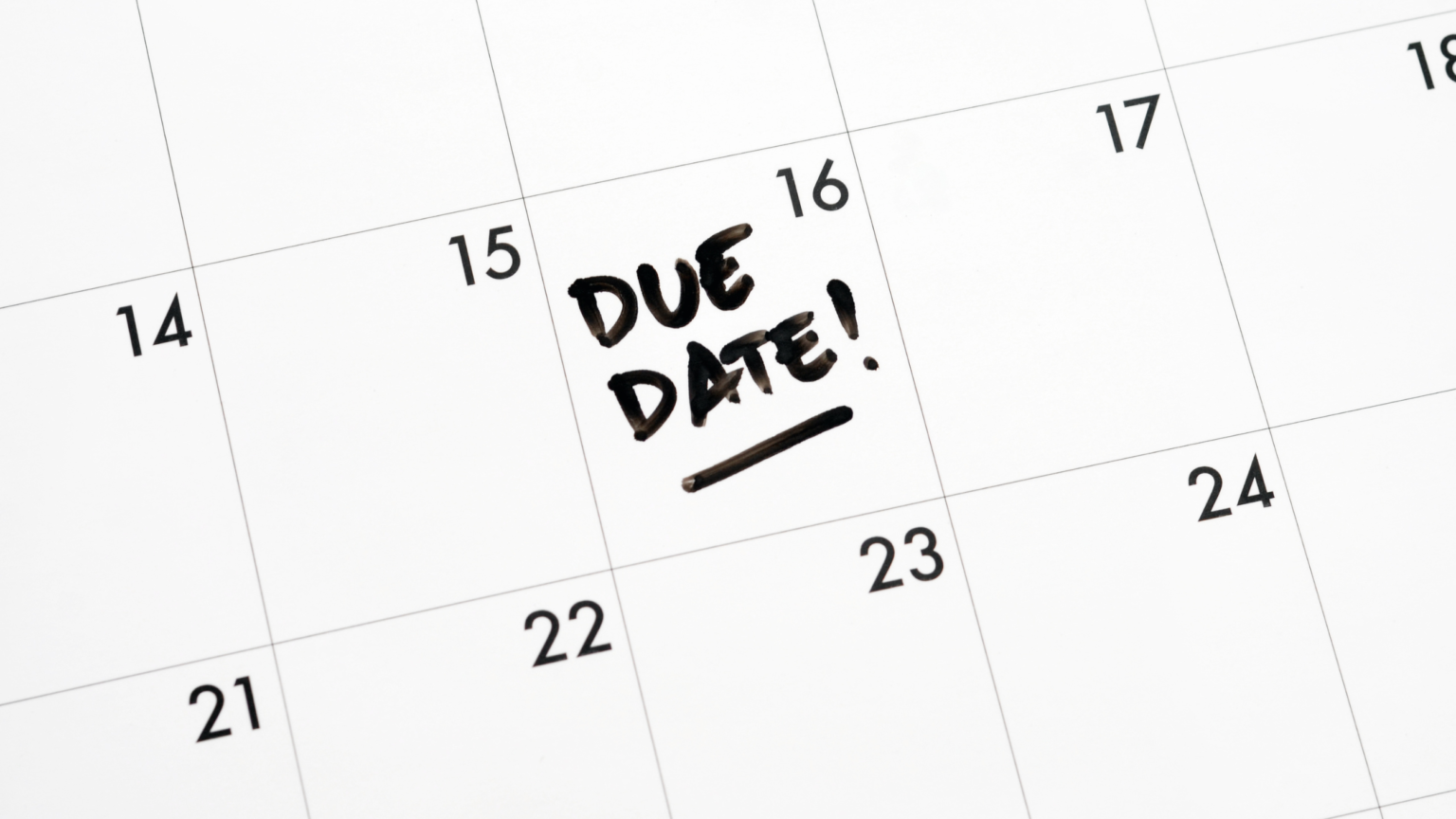 Due Dates and Compliance Tracker for the month of January 2025 - Blog ...