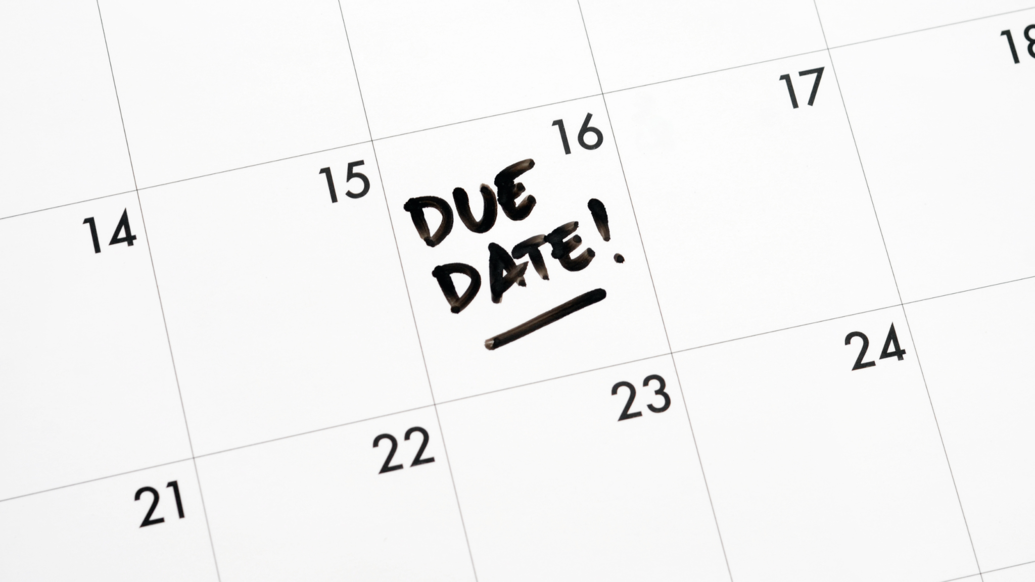 Due Dates and Compliance Tracker for the month of January 2025 - Blog ...